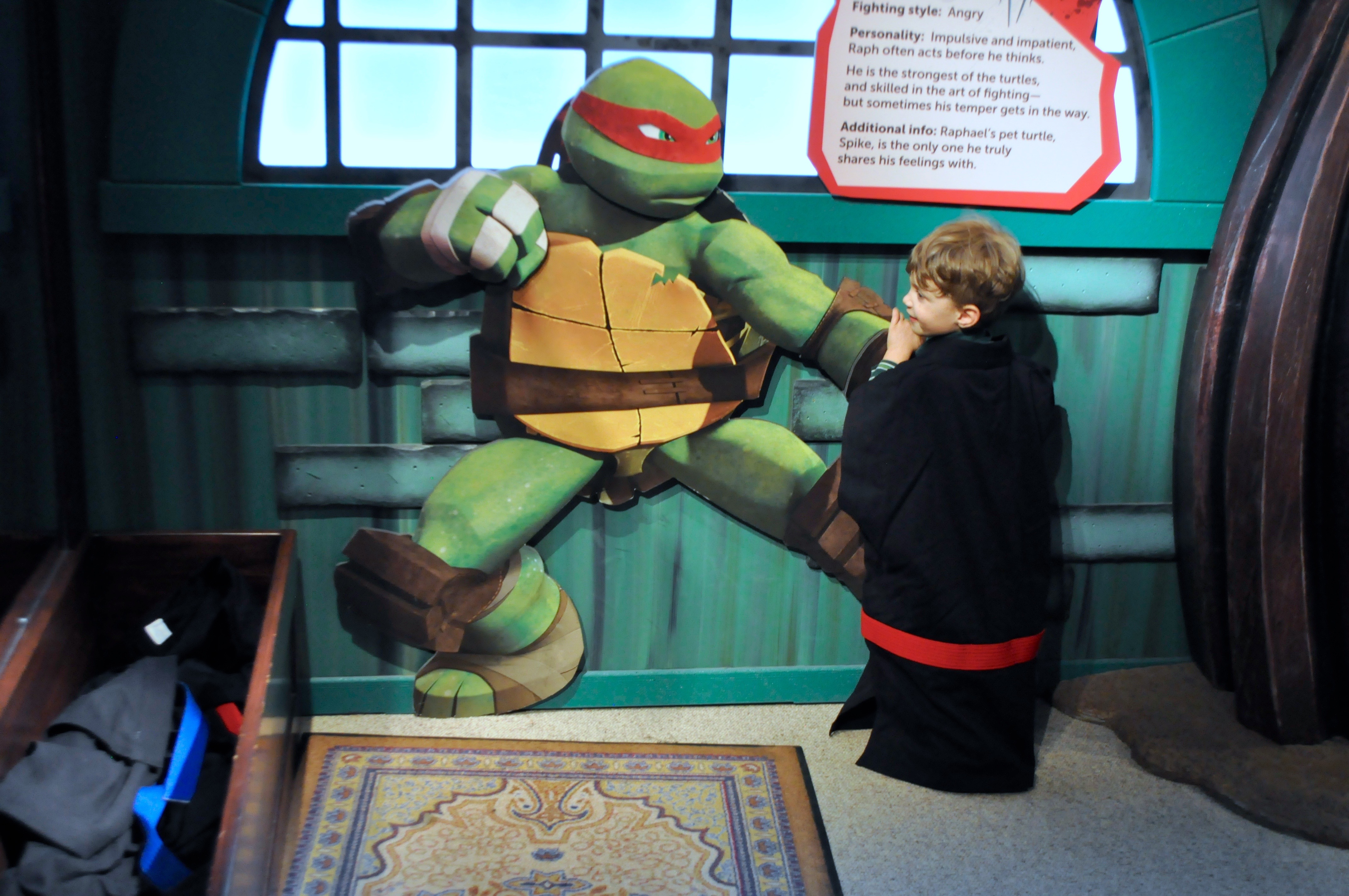 Exhibit Review: Teenage Mutant Ninja Turtles at The Reading Public ...